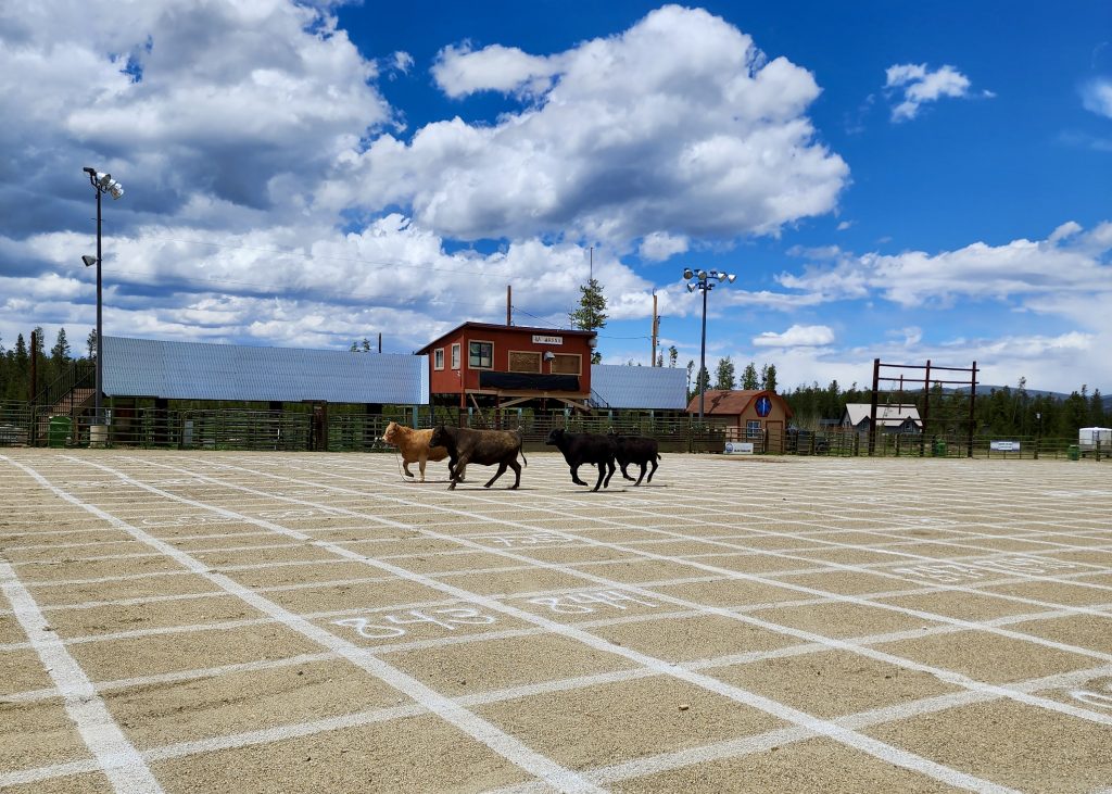 Attendees win MOO-lah at Cow Pie Bingo benefitting Fraser Valley ...